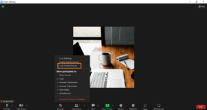 How to Hide Participants in Zoom (Easy Guide) - PresentationSkills.me