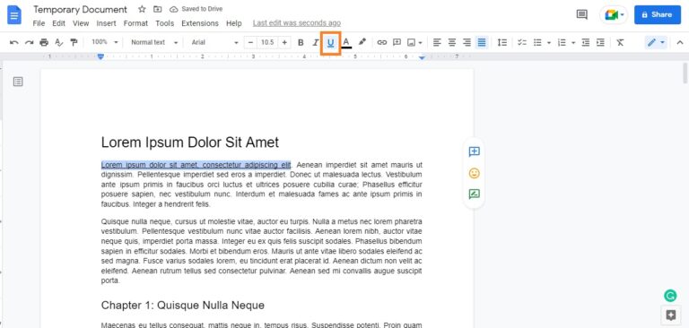 How To Underline In Google Docs (Easy Guide) - PresentationSkills.me