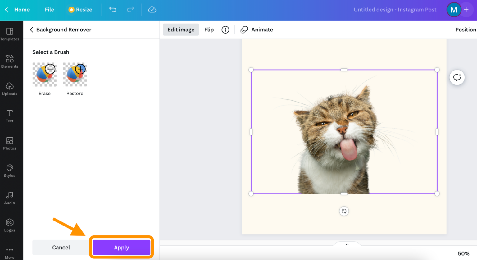 How To Remove A Background From An Image In Canva - PresentationSkills.me