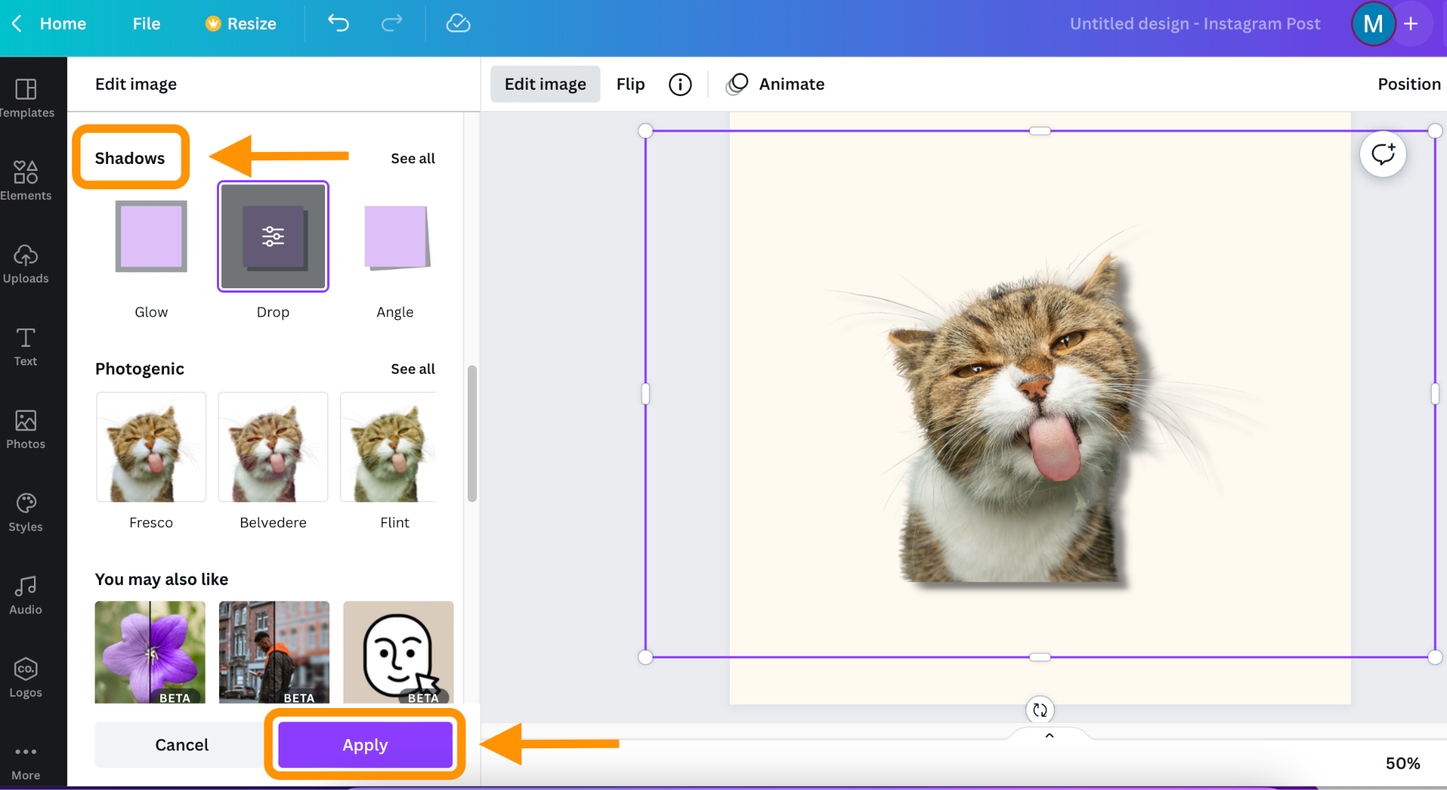 How To Remove A Background From An Image In Canva - PresentationSkills.me